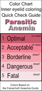 Anemia in Goats: Treatment & Recovery – The Giving Goat, LLC