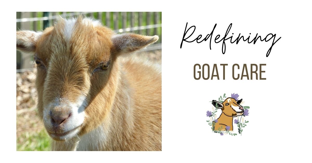 The Giving Goat, LLC – Integrated Goat Healthcare Consulting & More