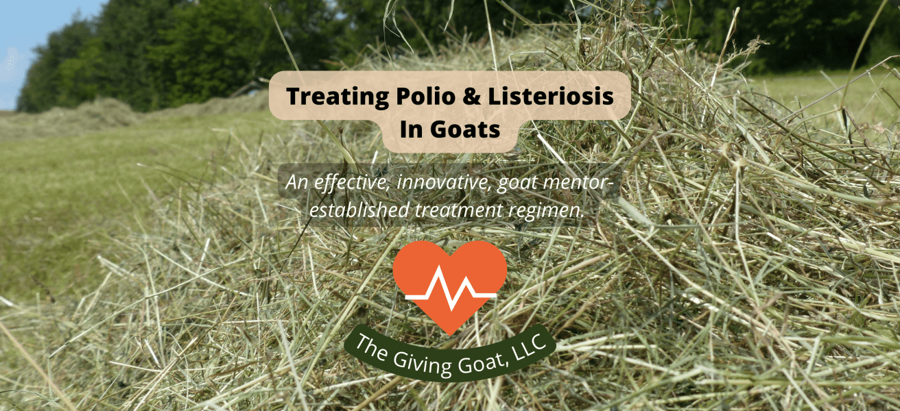 Treating Polio & Listeriosis in Goats – The Giving Goat, LLC